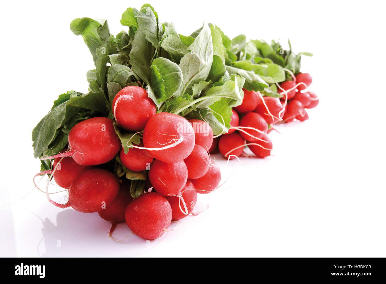 Several bunches of radishes Stock Photo - Alamy