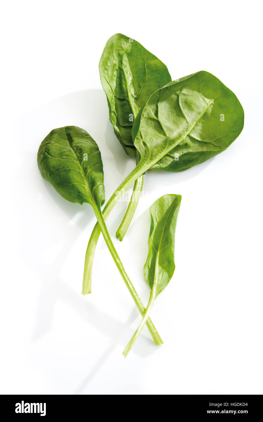Spinach plants cut out hi-res stock photography and images - Alamy