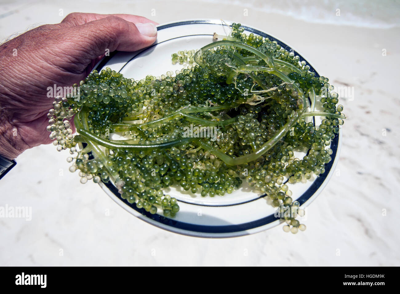 Ar arosip hi-res stock photography and images - Alamy