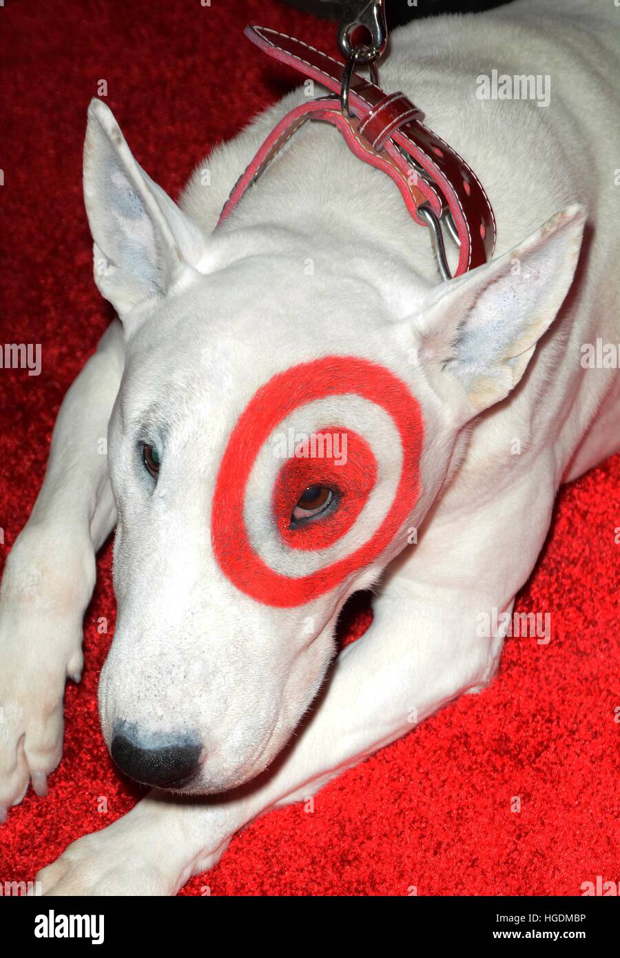 Target Toycracker Premiere Event in New York - Arrivals Featuring ...