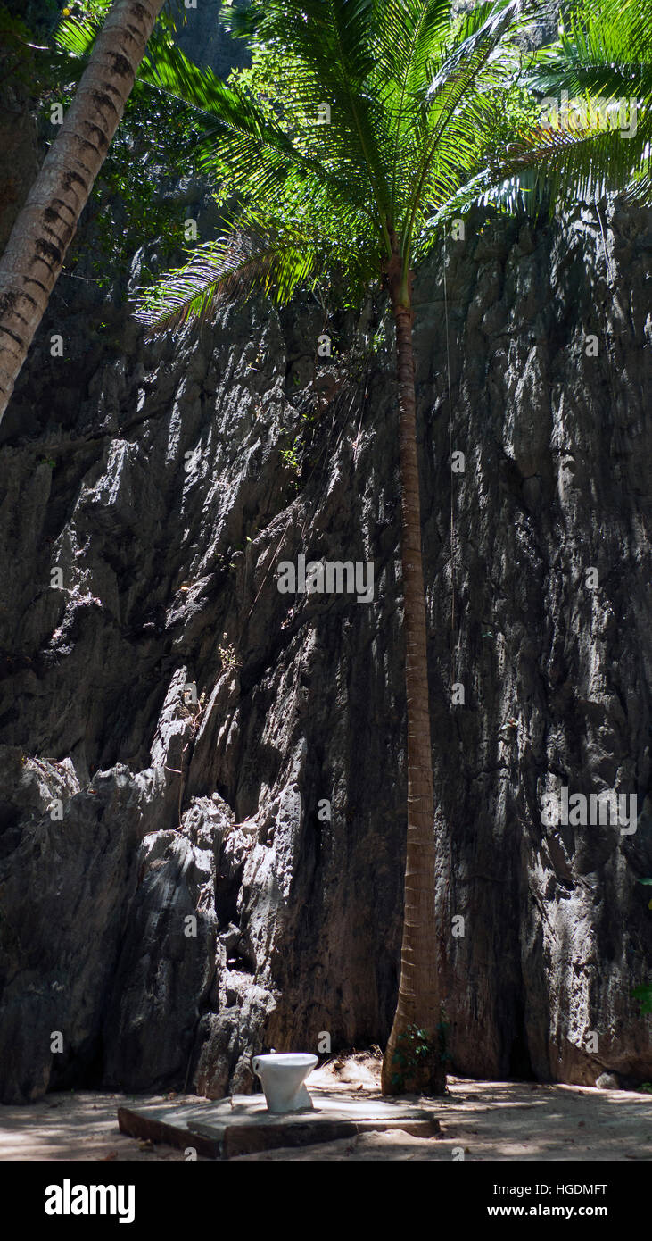 Toilet under palm tree Bacuit Archipelago Palawan Philippines Stock ...