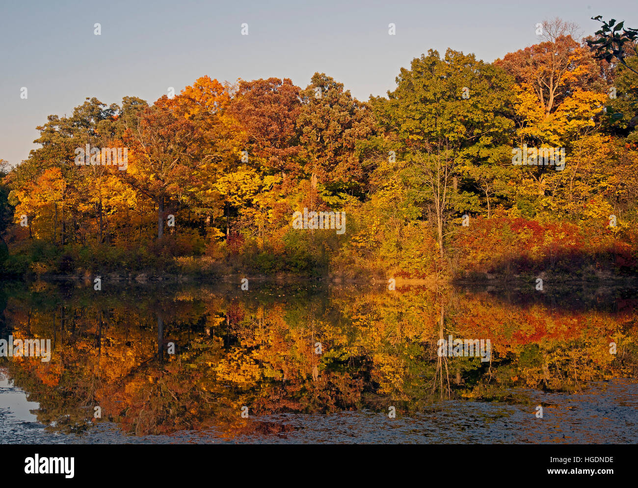 Morton arboretum hi-res stock photography and images - Alamy