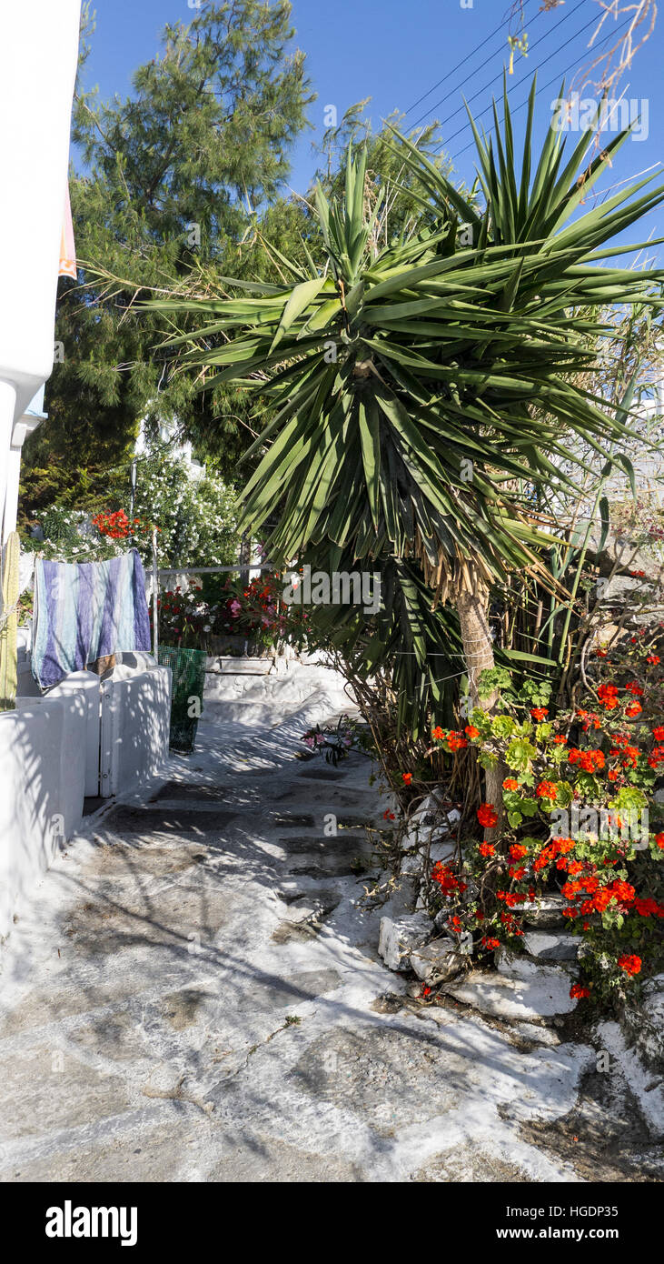 Narrow path Mykonos Greece Stock Photo - Alamy