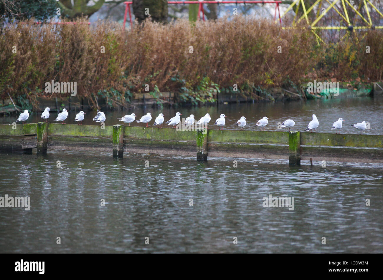 London woke up to exceptionally milder temperatures this morning for ...
