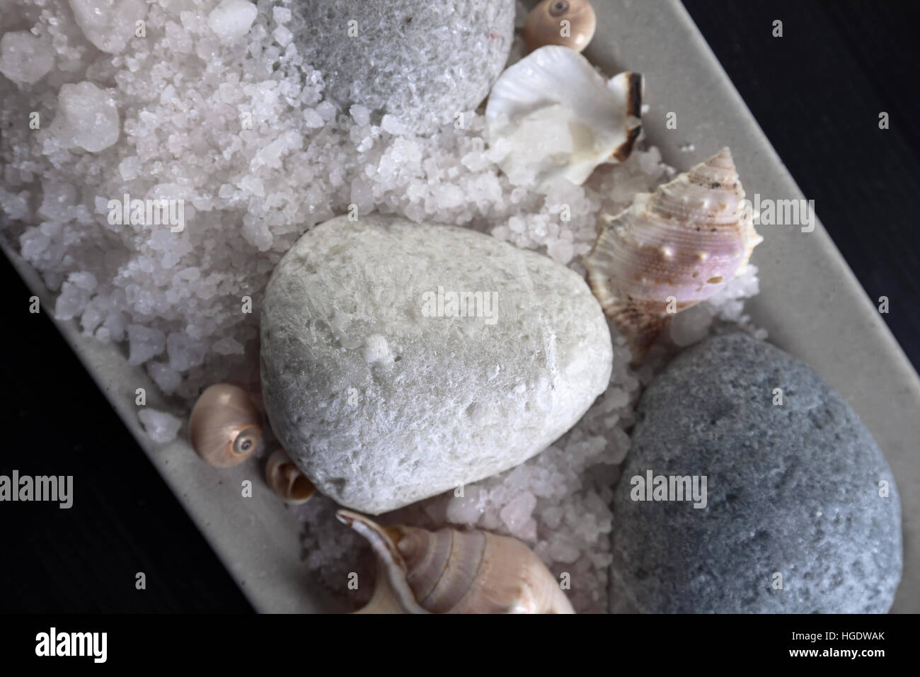 Seashell stones black white hi-res stock photography and images - Alamy