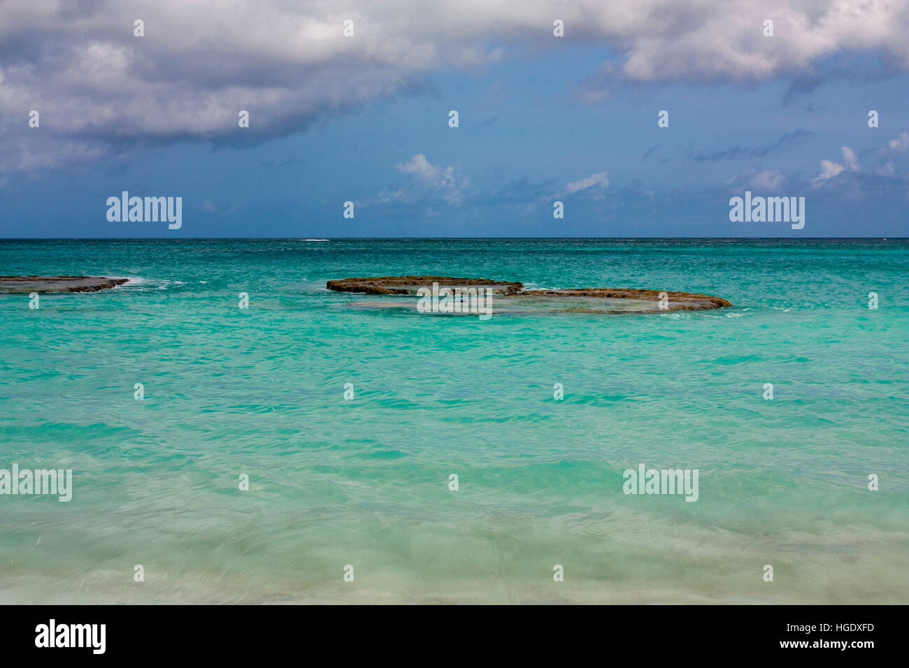 Bermuda coral reefs hi-res stock photography and images - Alamy