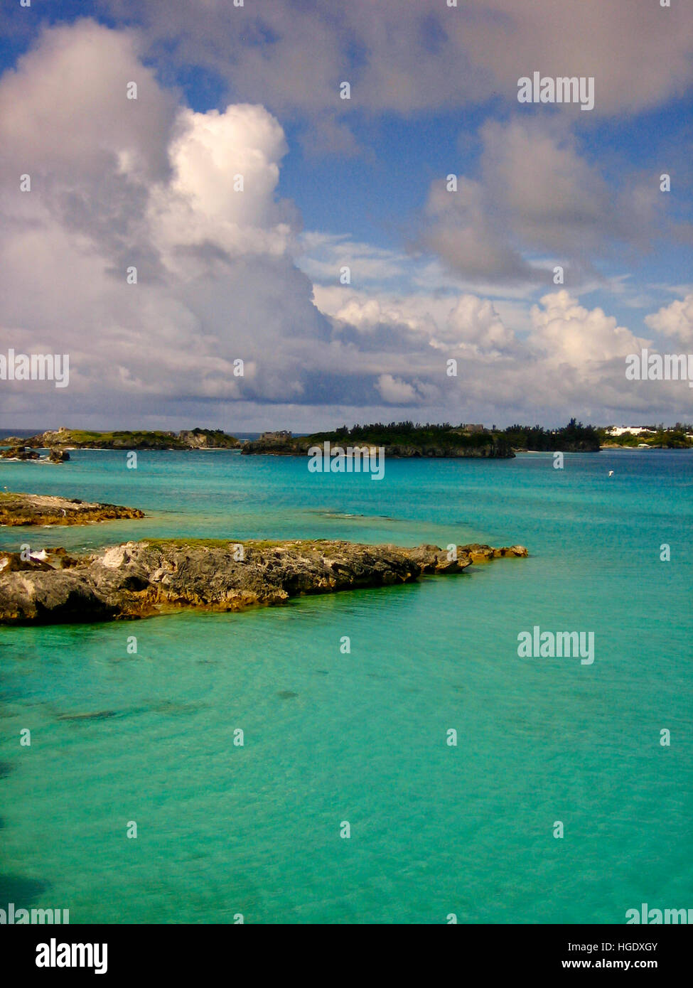 Bermuda coral reefs hi-res stock photography and images - Alamy