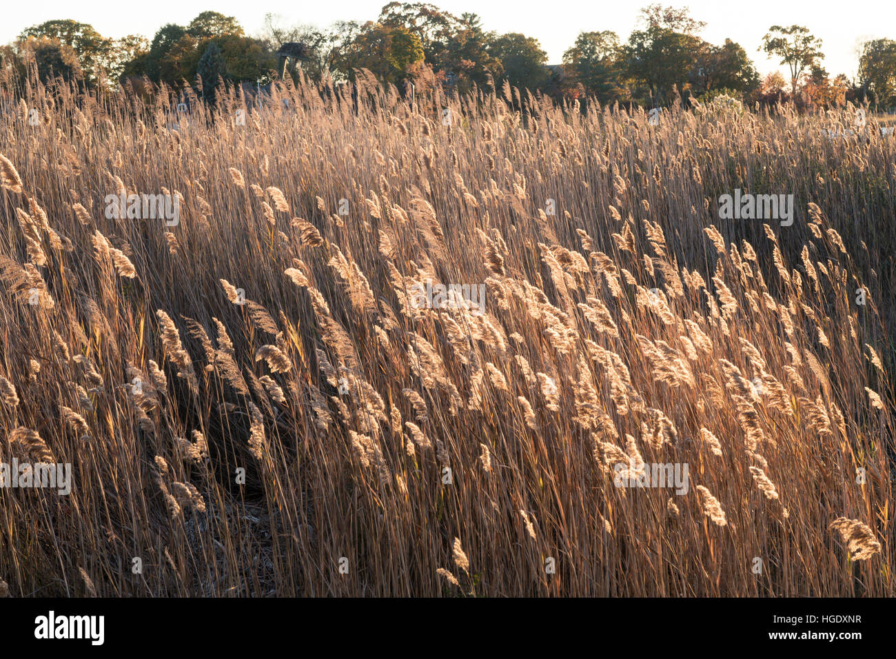 Fall Scenery, Connecticut, USA Stock Photo - Alamy