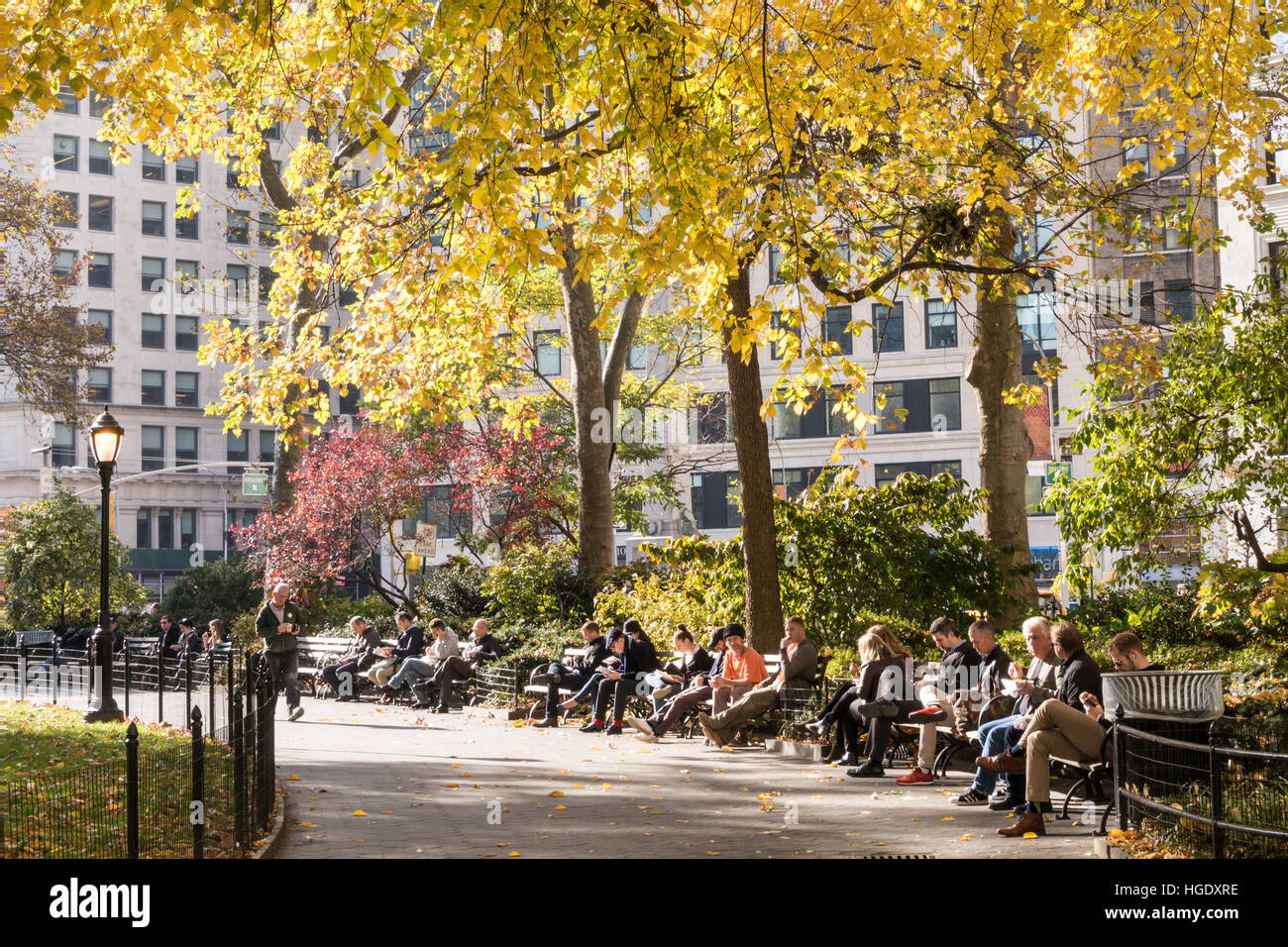 People Enjoying a Beautiful Fall Day in Madison Square Park, NYC, USA ...