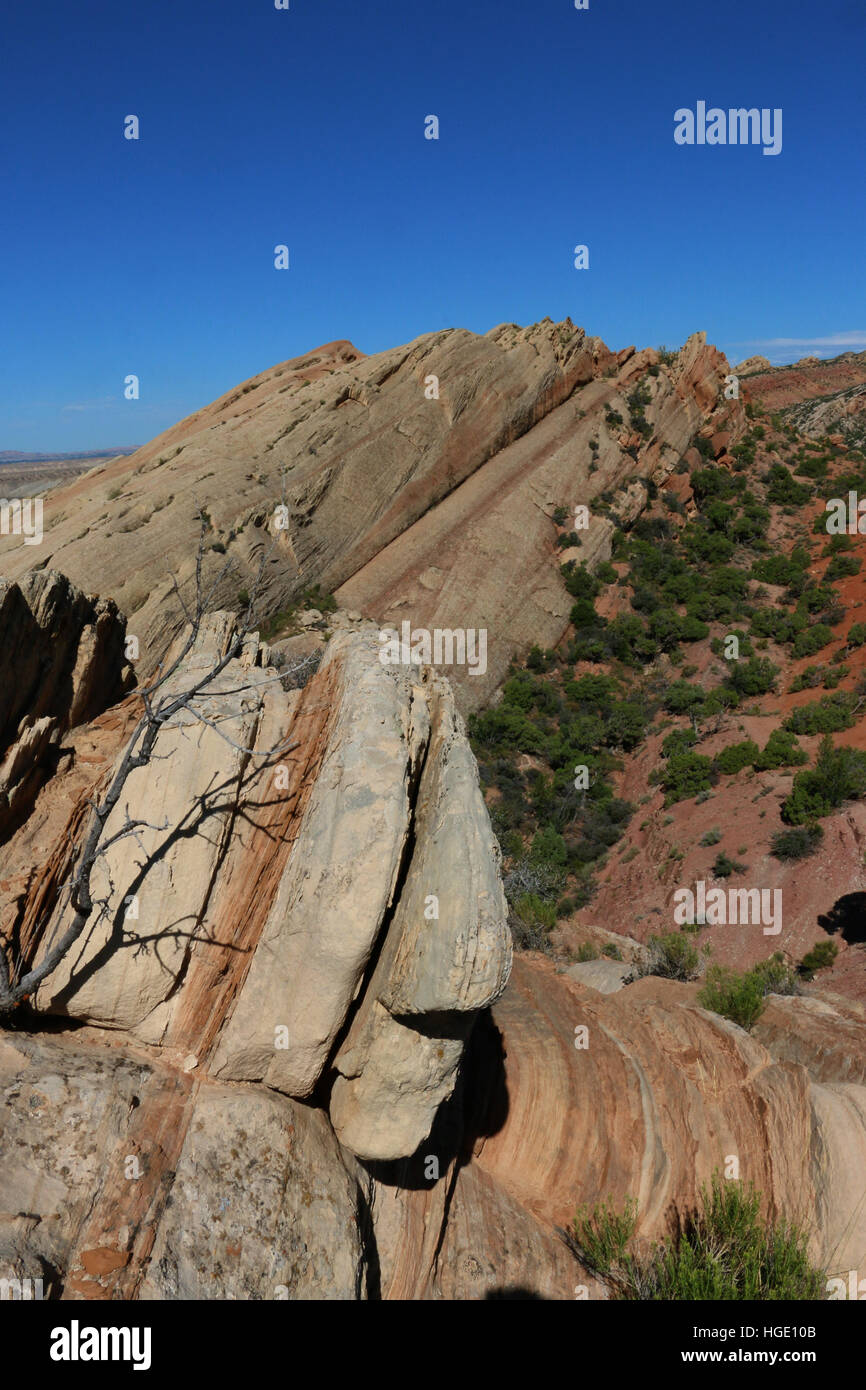 Tilted rock layers Dinosaur National Monument Utah Stock Photo - Alamy