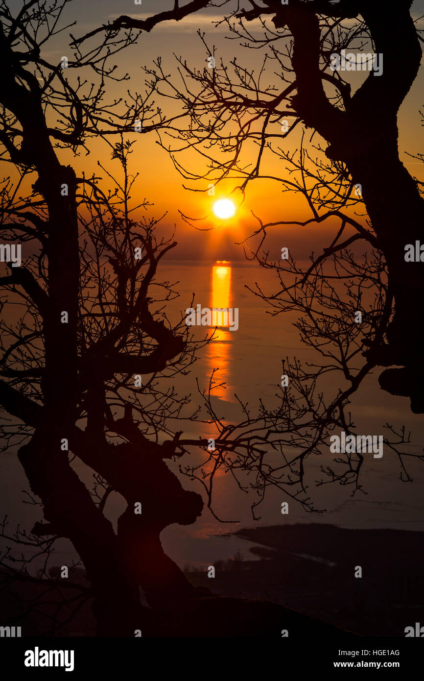 Beautiful sunset with tree silhouette Stock Photo - Alamy