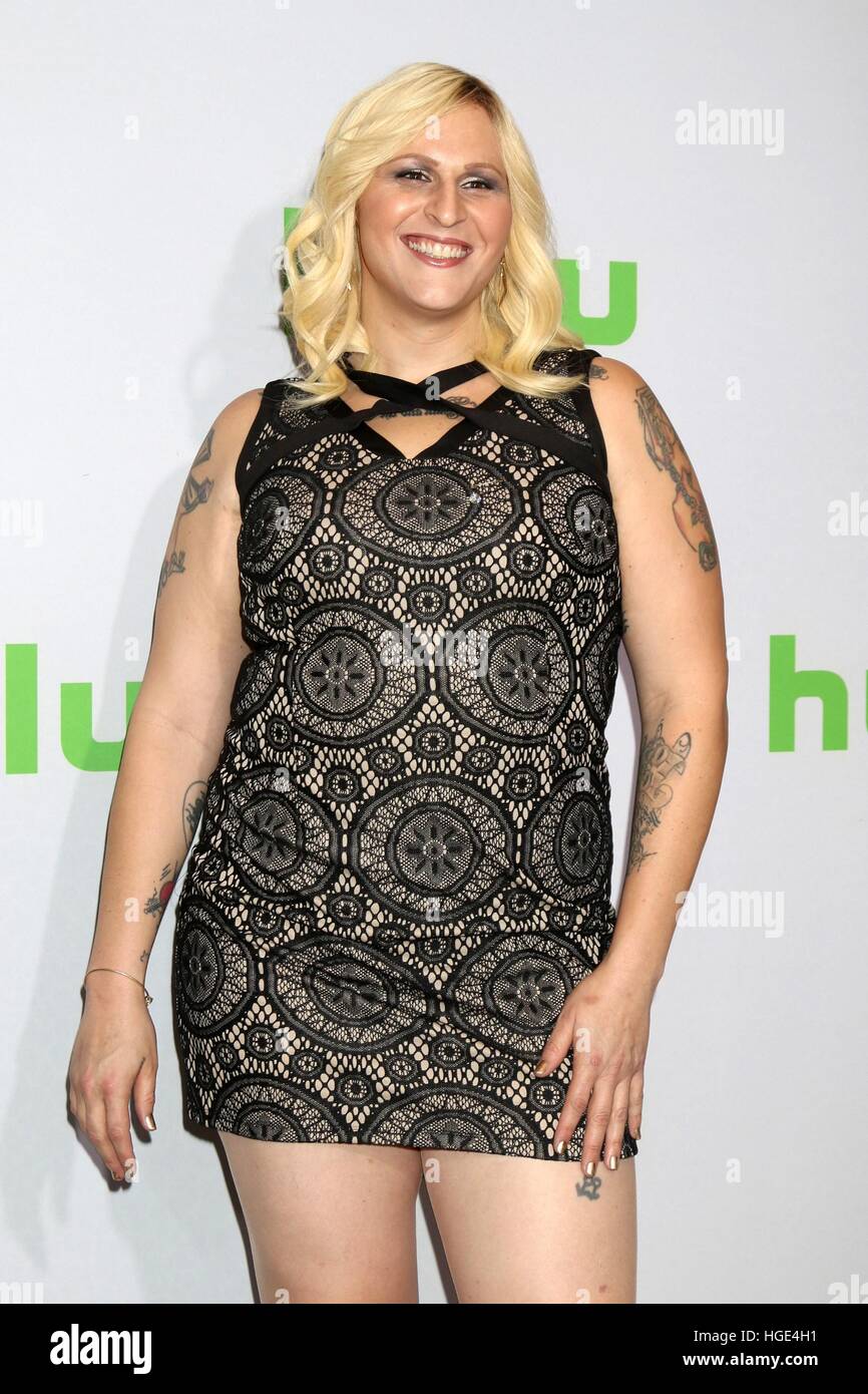 Los Angeles, CA. 7th Jan, 2017. Shakina Nayfeck at arrivals for TCA ...