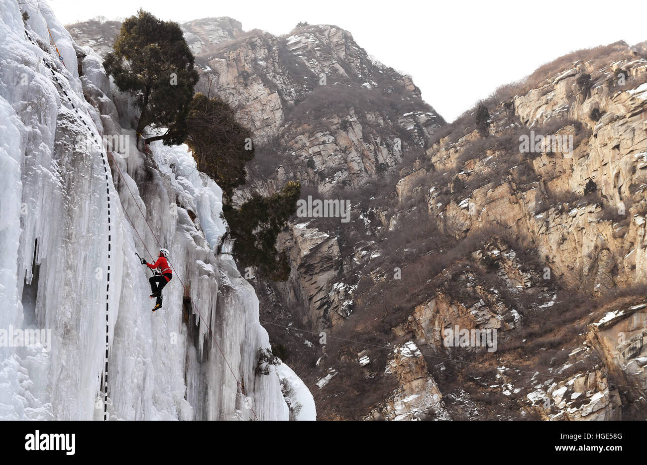 Beijing, China. 8th Jan, 2017. A female climber competes during the ...