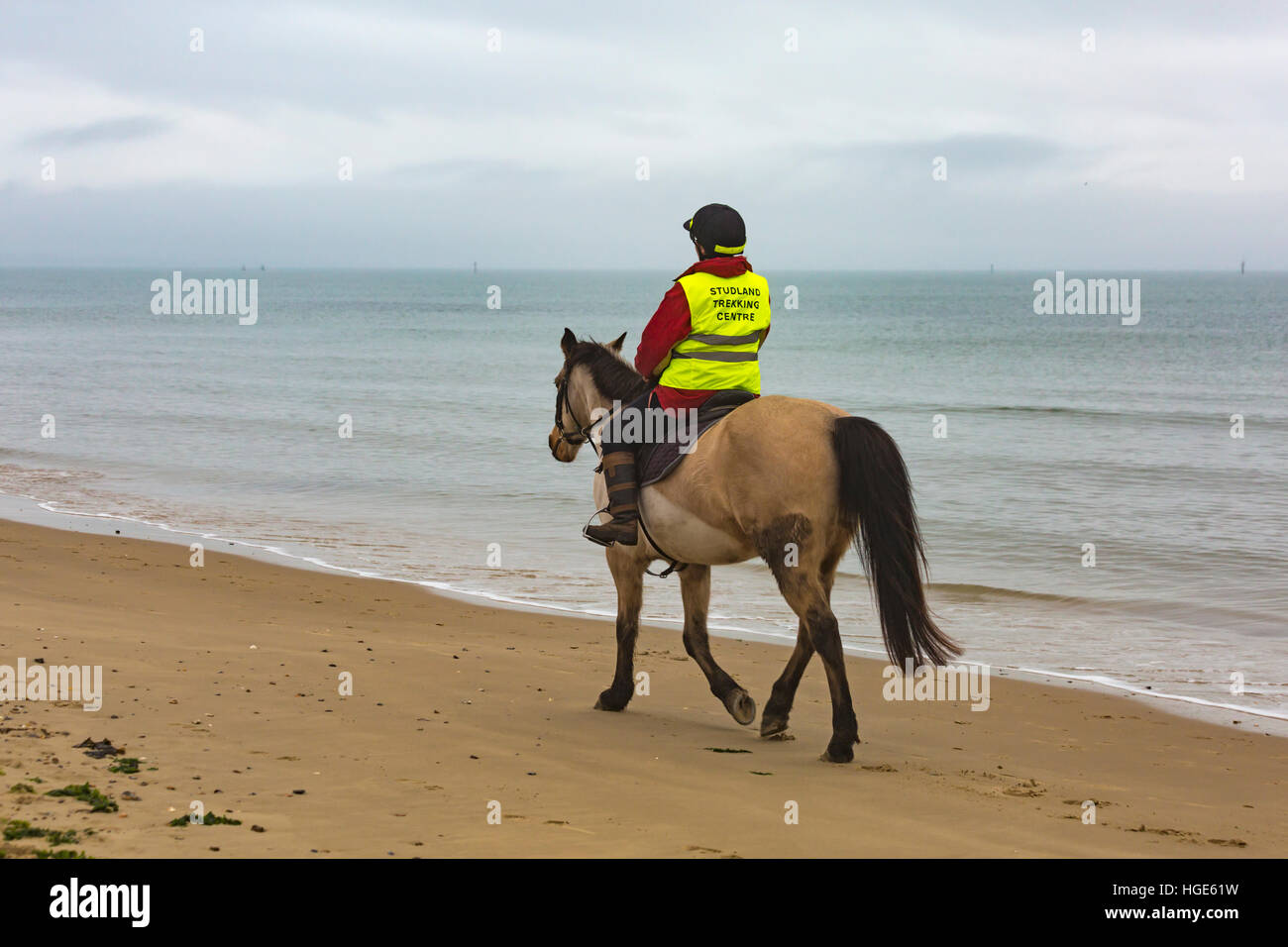 Horse riding hi vis vest hi-res stock photography and images - Alamy
