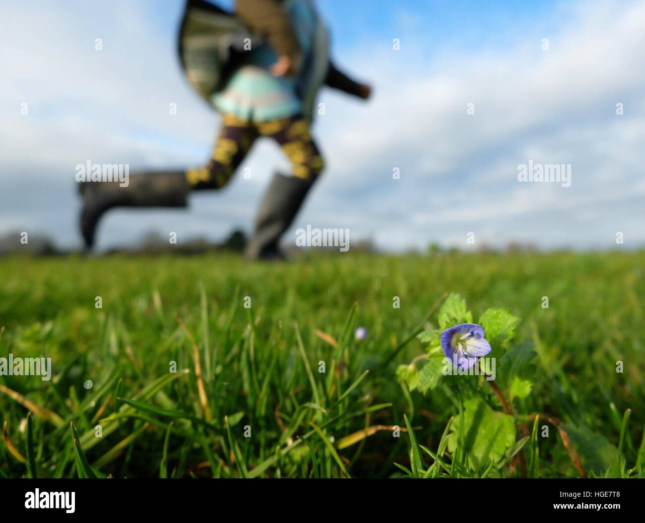 Children running wild uk hi-res stock photography and images - Alamy