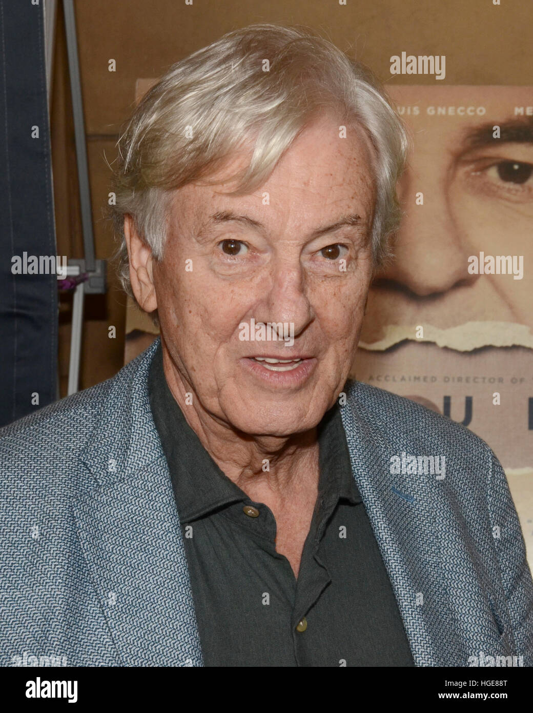 Graumans egyptian theatre hi-res stock photography and images - Alamy