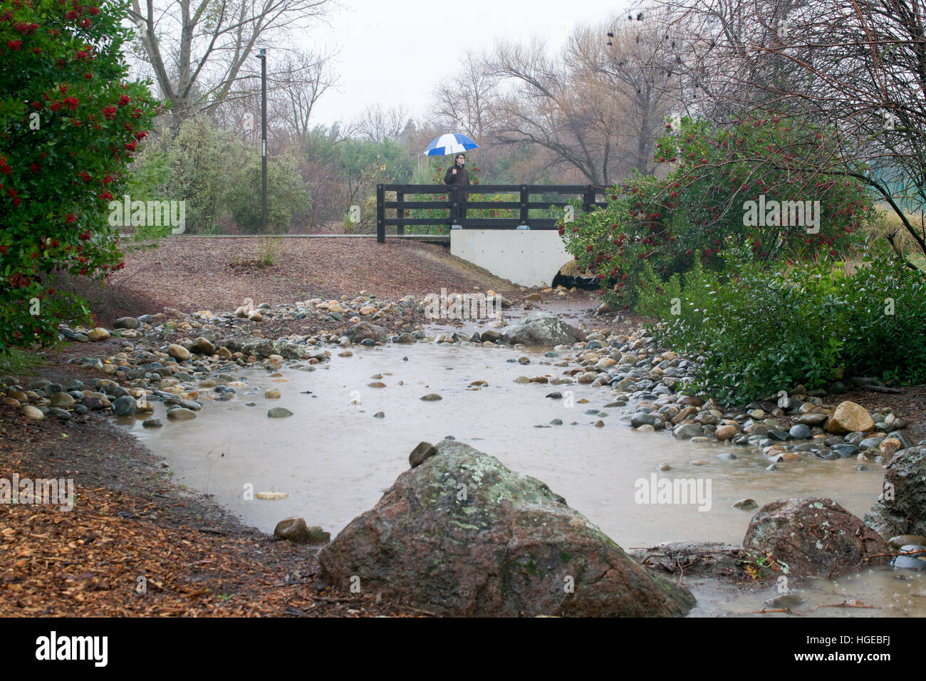 Davis California Yolo County Stock Photos & Davis California Yolo ...