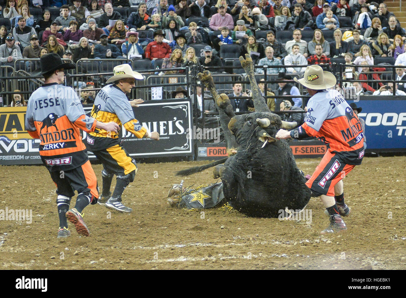 New York, USA. 8th Jan, 2017. A bull rolls over rider SHANE PROCTOR on ...