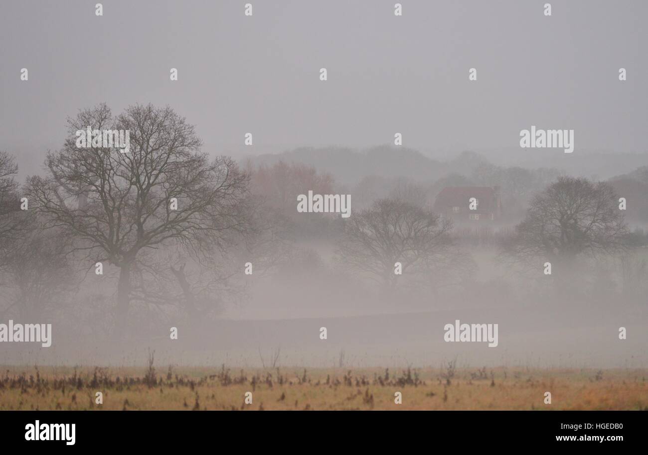 Grey misty weather hi-res stock photography and images - Alamy