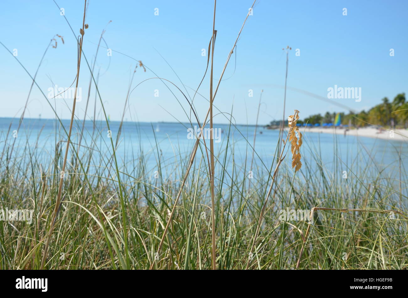 Key west shore hi-res stock photography and images - Alamy