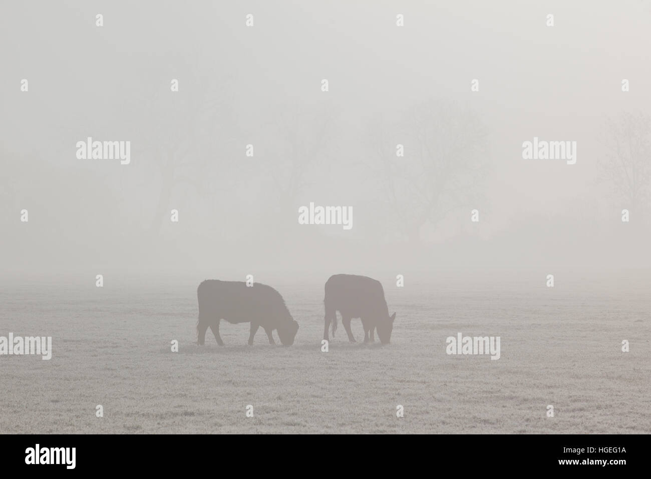 Freezing mist hi-res stock photography and images - Alamy