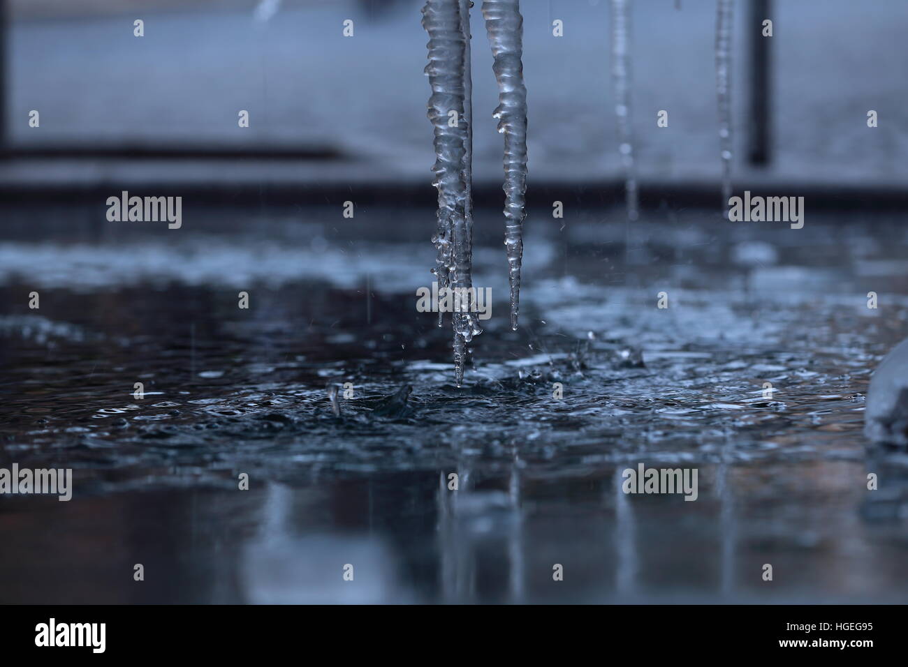 Roma, Italy. 08th Jan, 2017. The great cold gives a rare sight as the ...