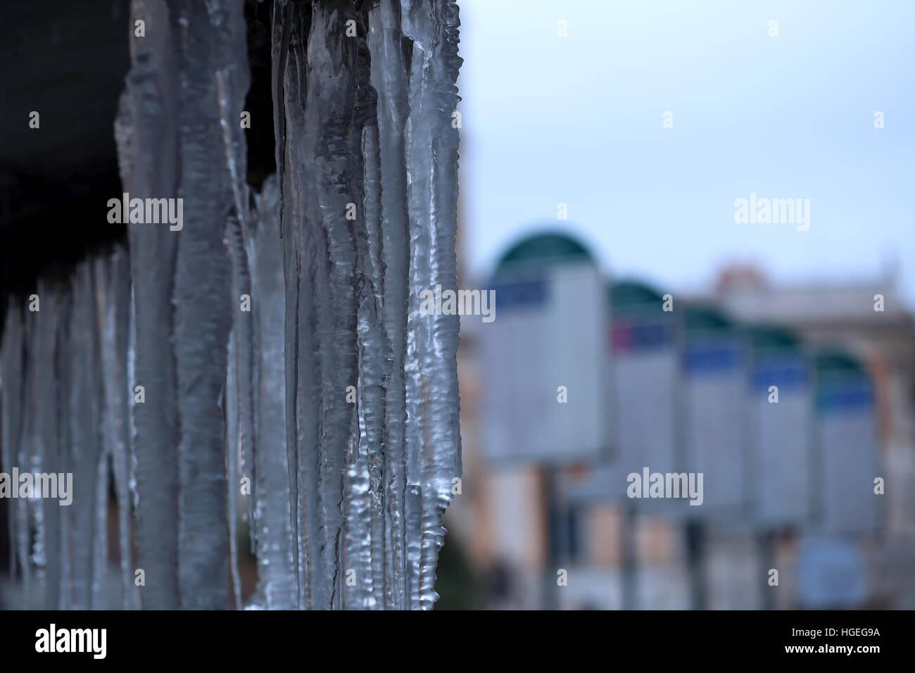 Roma, Italy. 08th Jan, 2017. The great cold gives a rare sight as the ...