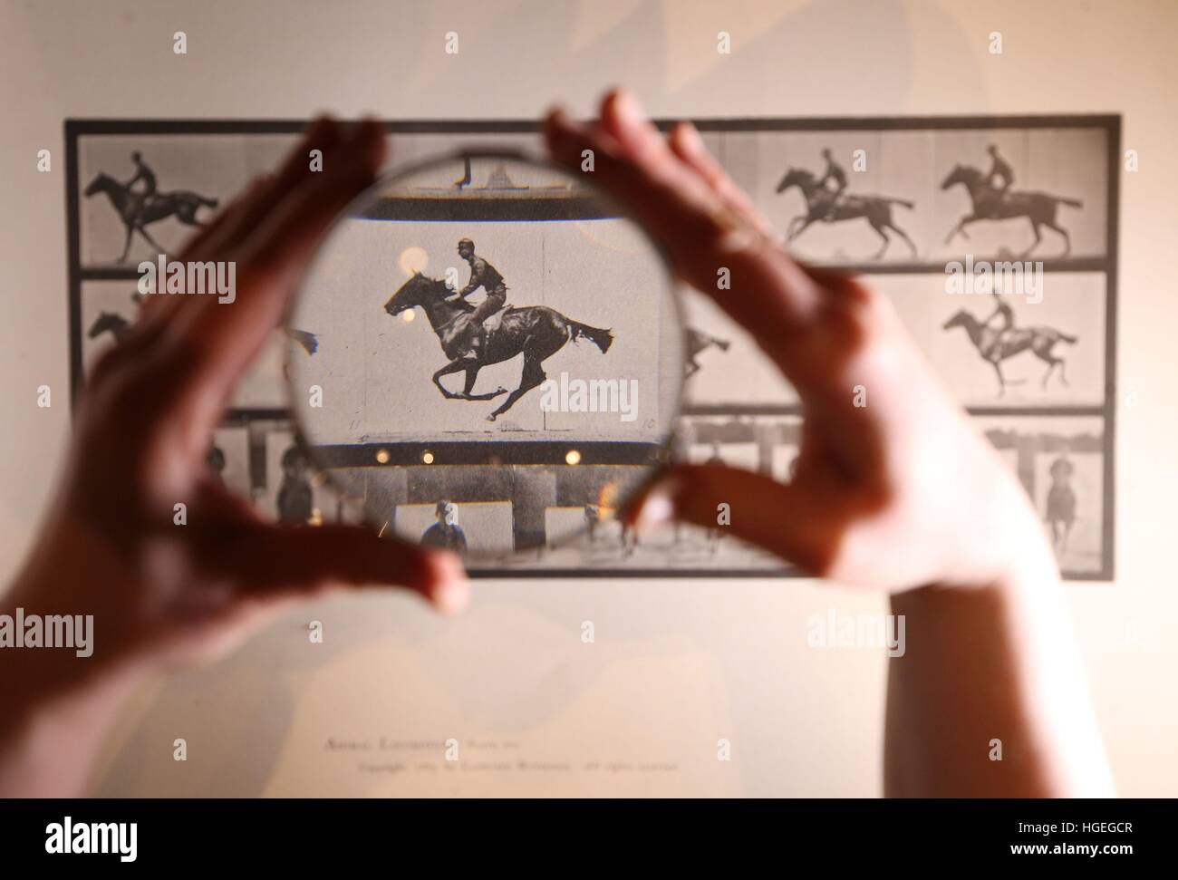 STANDALONE Photo. A rare collection of 95 eccentric photographs by ...