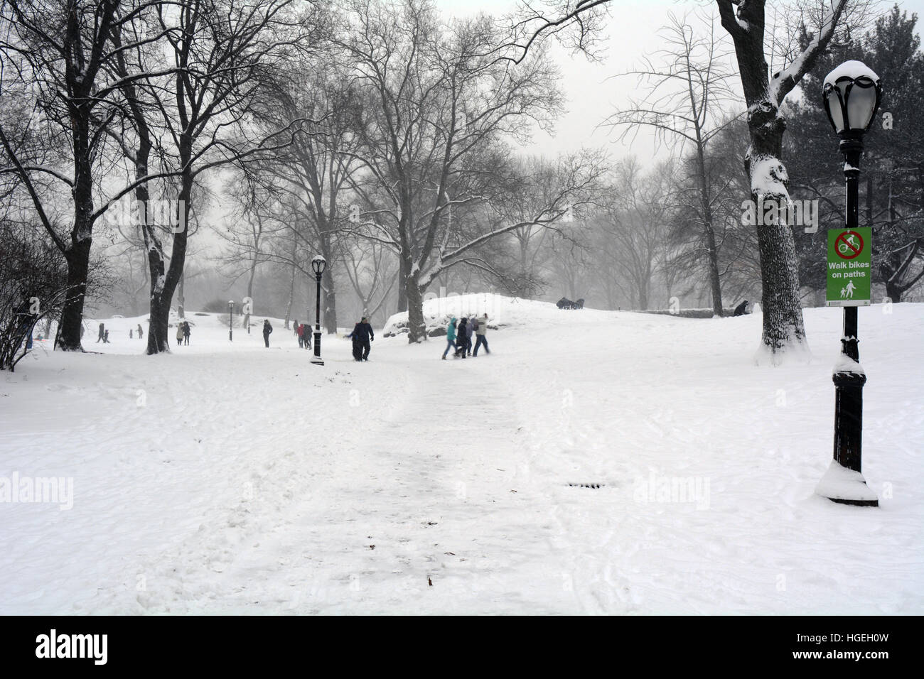 Walking Down Path in Central Park During a Winter Storm Stock Photo - Alamy