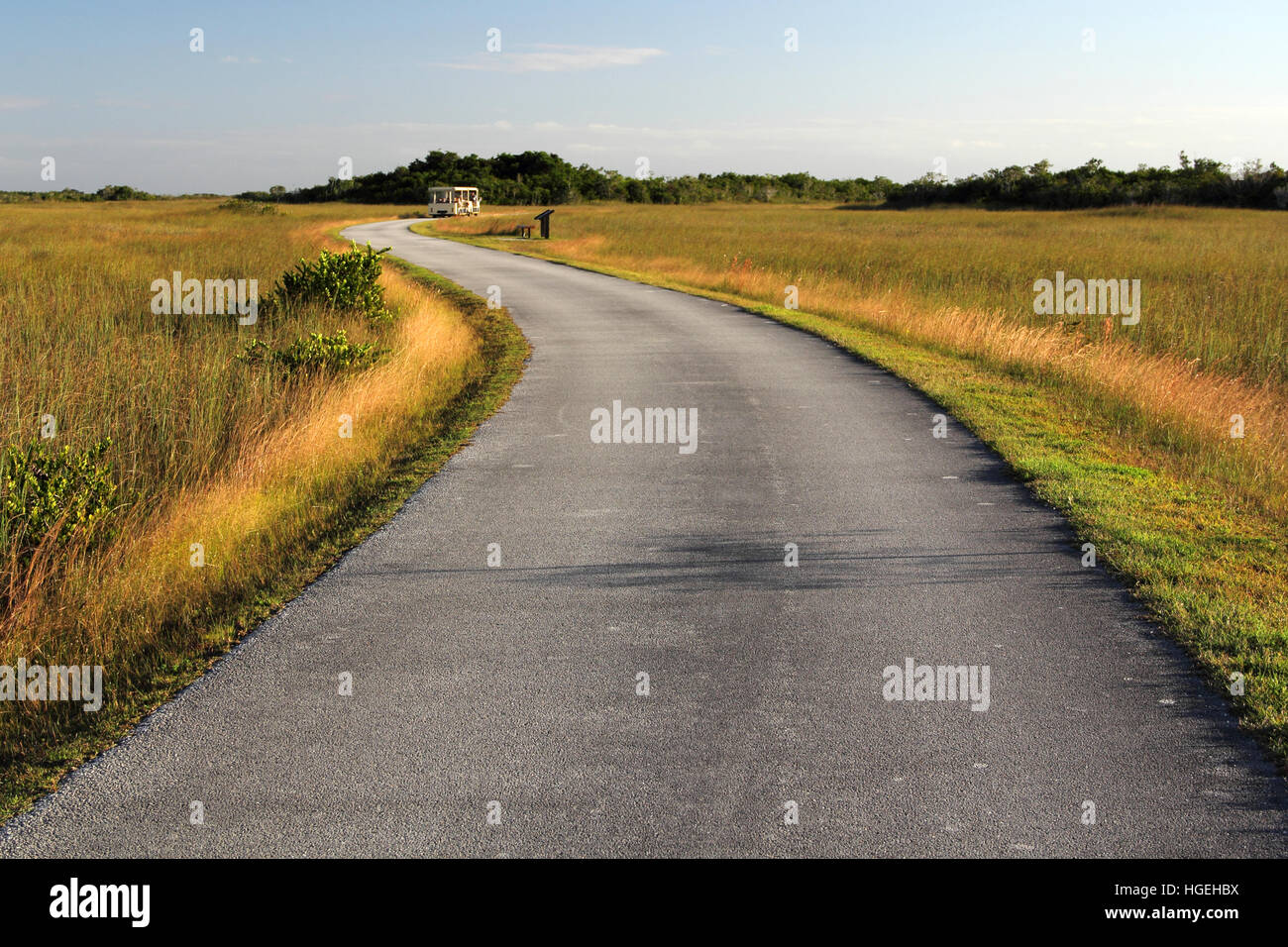 Shark Valley Tram Trail, Everglades National Park, South Florida Stock ...