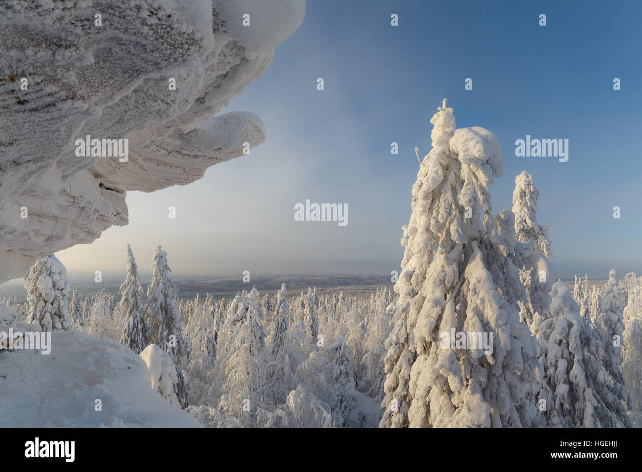 Ural mountains forest hi-res stock photography and images - Alamy