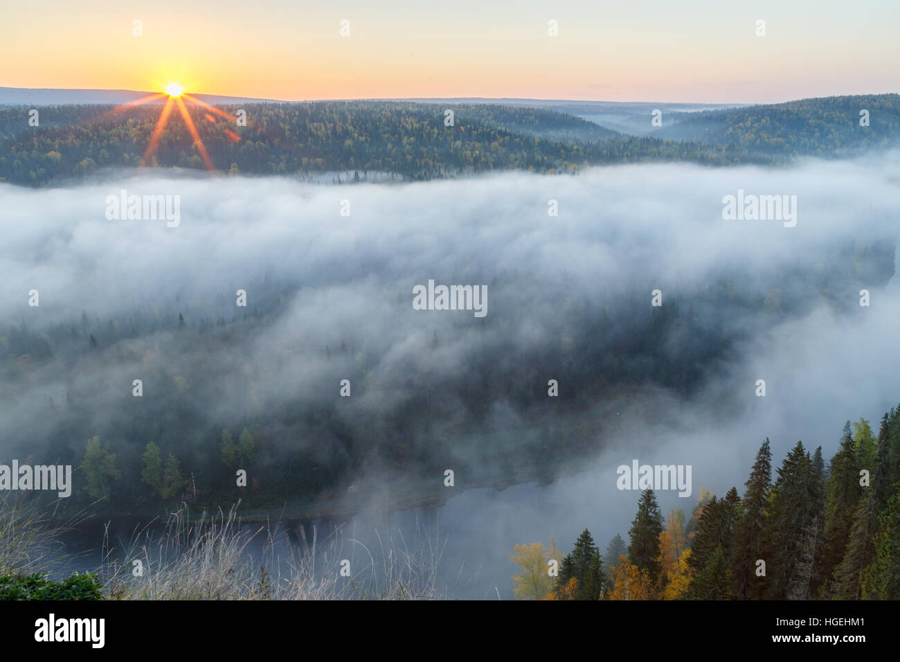 forest in fog, russian nature, forest mist Stock Photo - Alamy