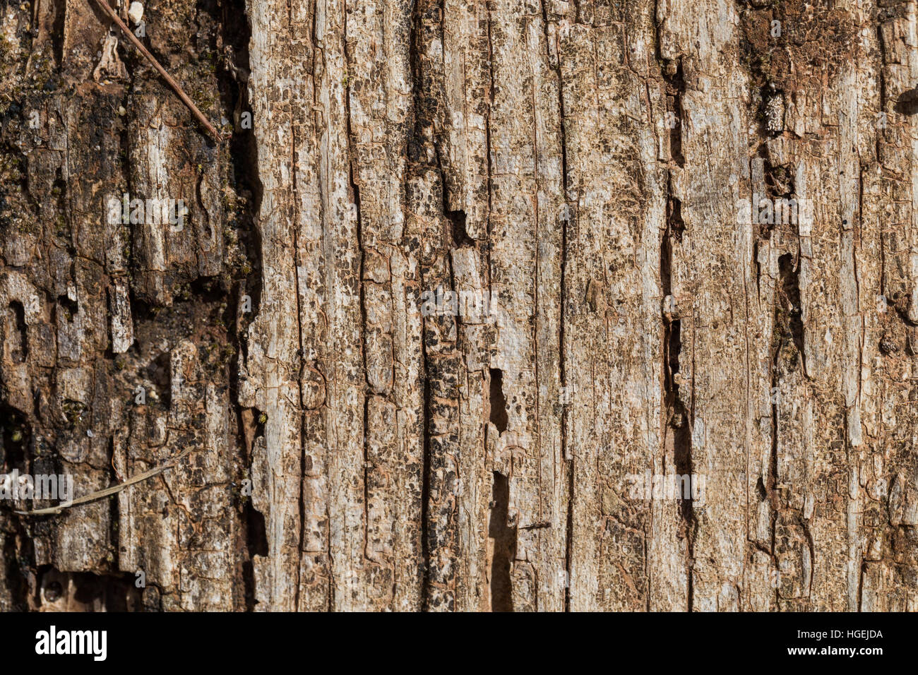 Very old wood as a texture background Stock Photo - Alamy