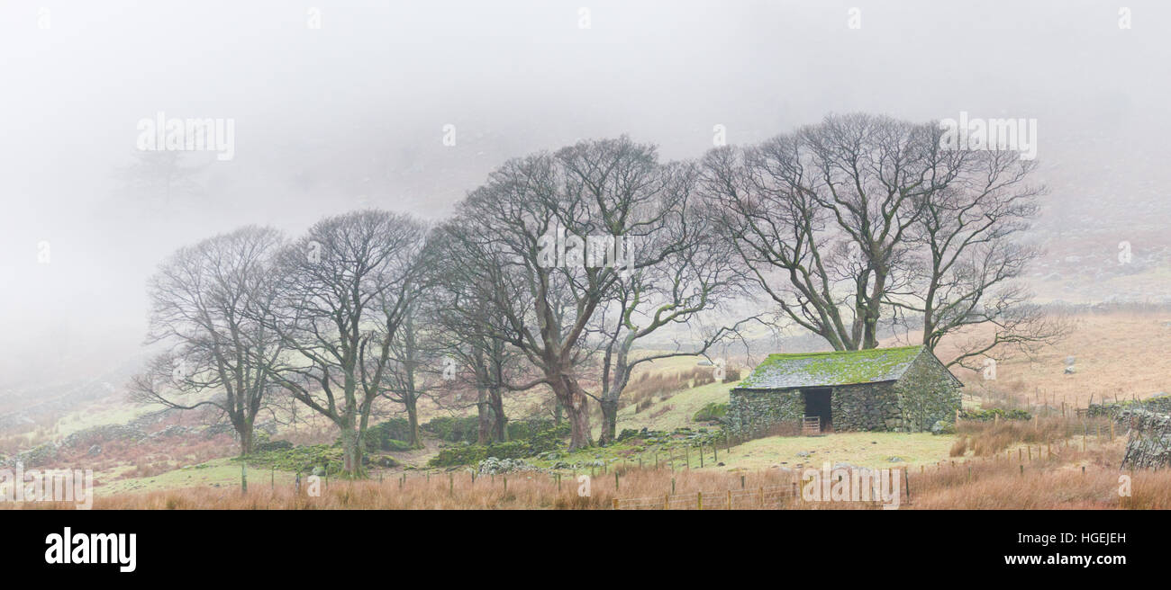 Old barn made of stone and slate roof under bare trees in the mist by ...