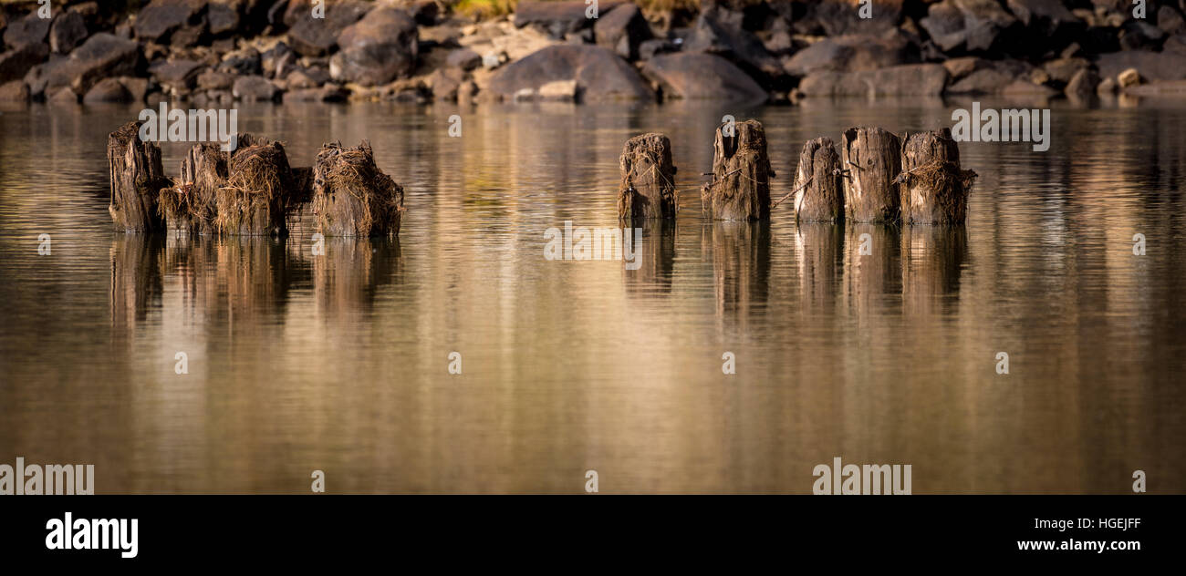 River pylons hi-res stock photography and images - Alamy