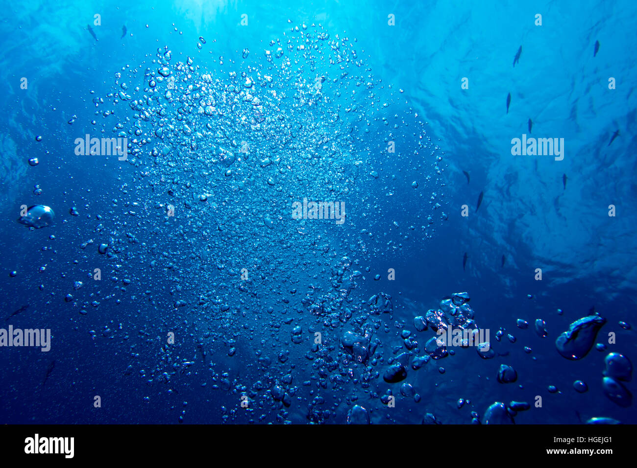 Rising from the ocean hi-res stock photography and images - Alamy
