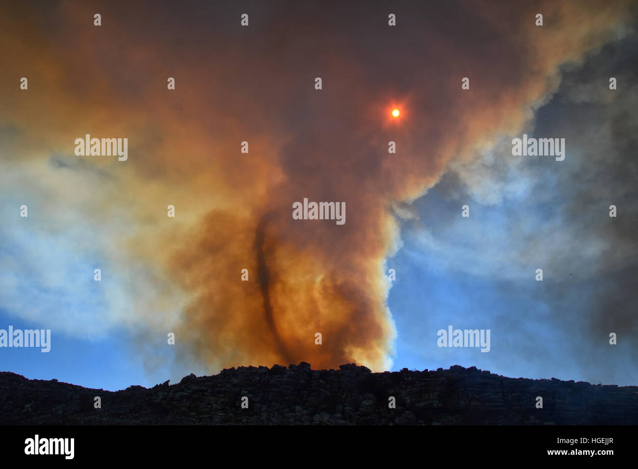 A fire vortex swirls the smoke clouds over a fynbos wildfire Stock ...