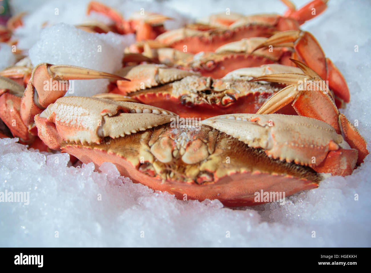 Whole cooked crab hi-res stock photography and images - Alamy