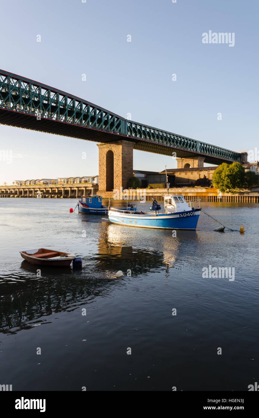 Alphagories... - Page 165 - Forum Games