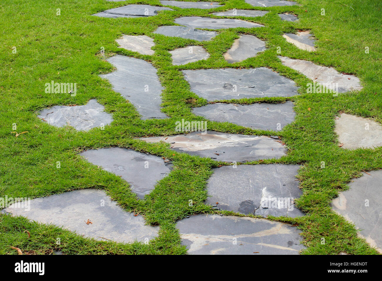 Stone block walk path in the park with green grass background Stock ...