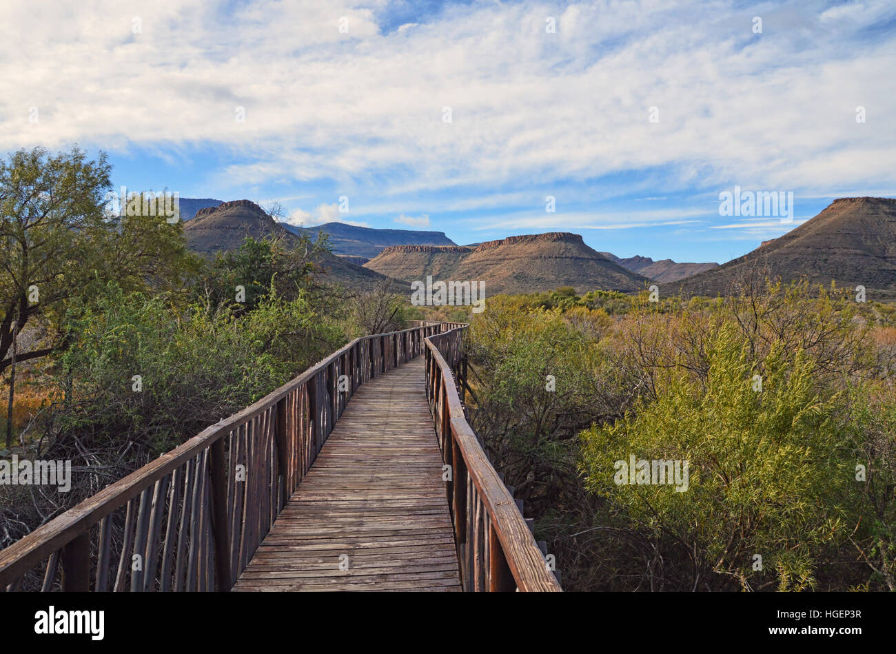 Raised board walk hi-res stock photography and images - Alamy
