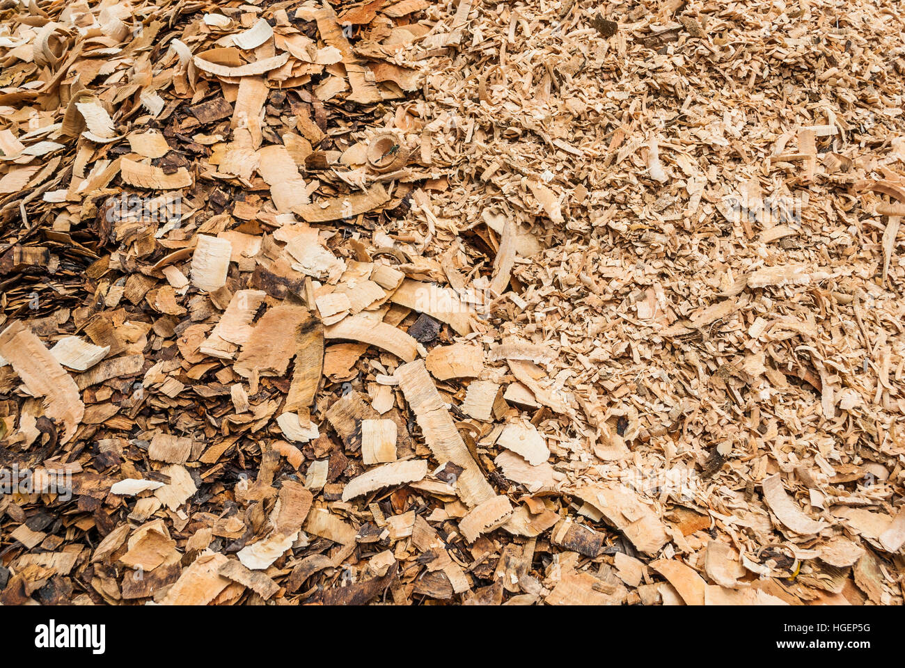 Pile of Wood Flakes Background/ Texture Stock Photo - Alamy