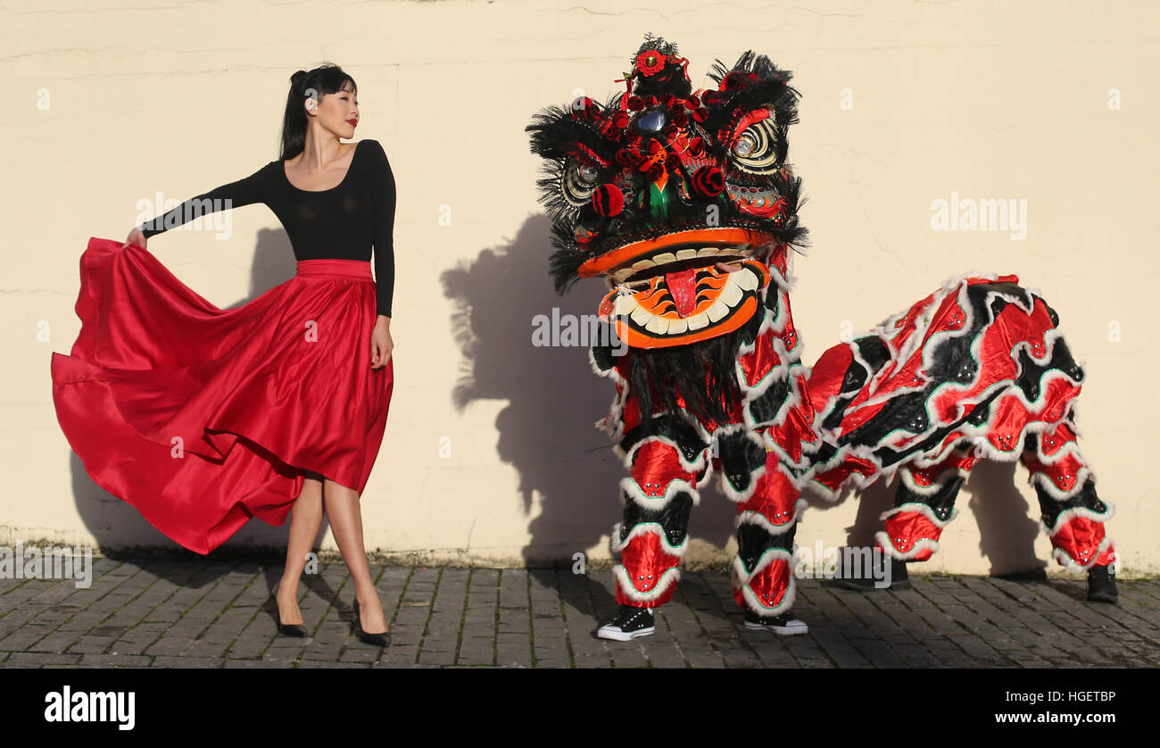 She lion hi-res stock photography and images - Alamy