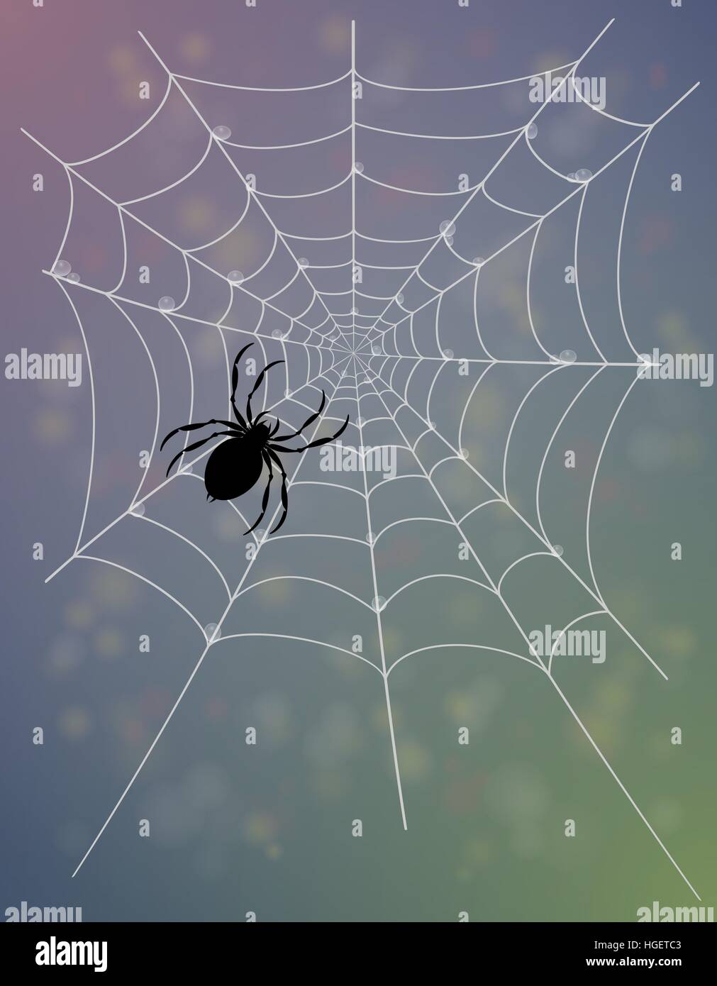 spider web stock vector illustration Stock Vector Image & Art - Alamy