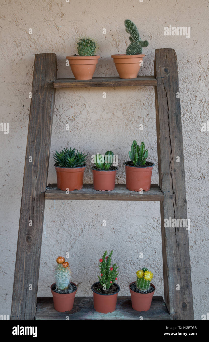 Planting pots step by step hi-res stock photography and images - Alamy