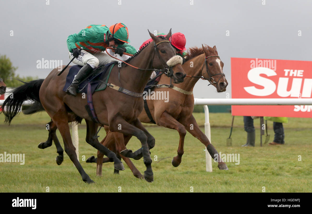 Querry horse ridden hi-res stock photography and images - Alamy