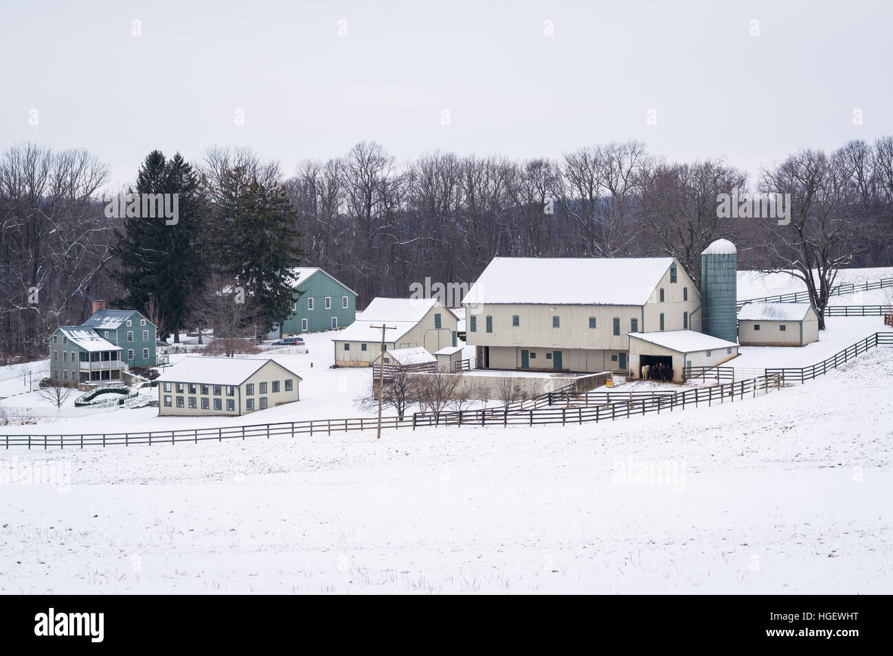 New freedom hi-res stock photography and images - Alamy