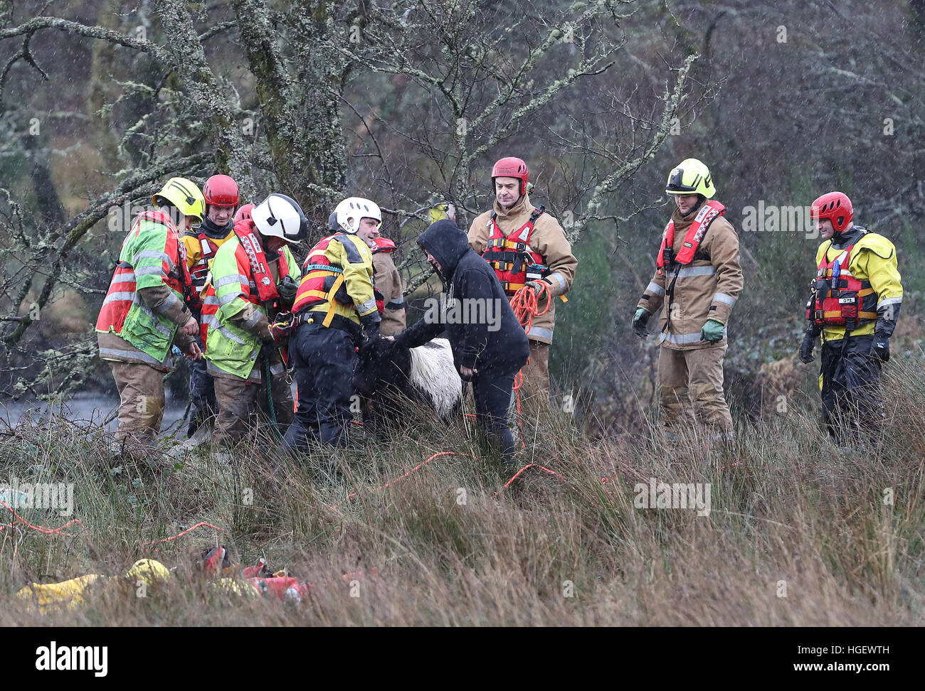 Aberfoyle Road Stock Photos & Aberfoyle Road Stock Images - Alamy