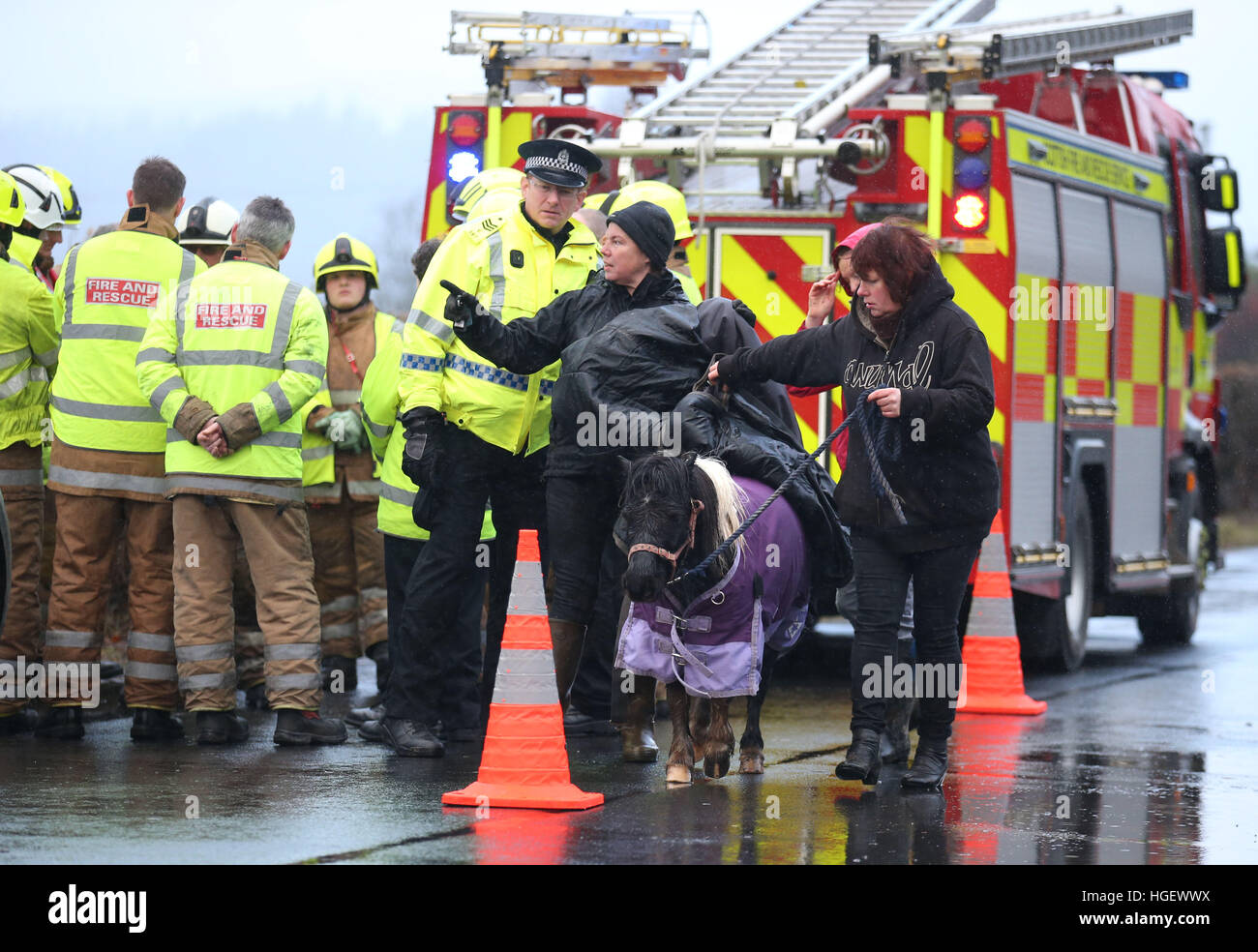 Nemo, a Shetland pony, is rescued by the Scottish Fire and Rescue ...
