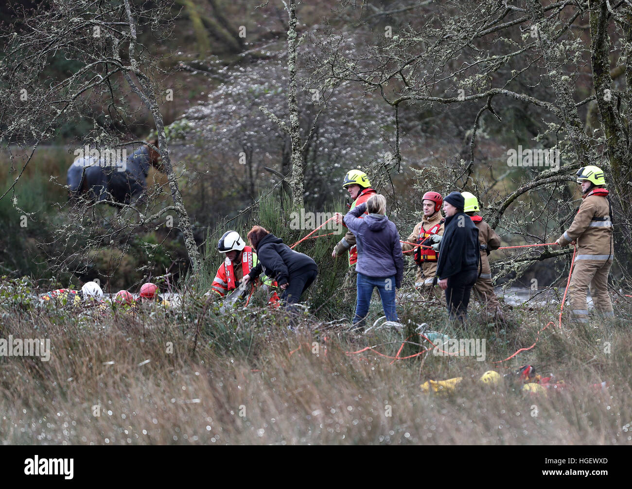Nemo, a Shetland pony, is rescued by the Scottish Fire and Rescue ...